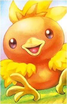 Torchic | Mudae Wiki | Fandom