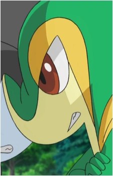 Ash's Snivy | Mudae Wiki | Fandom
