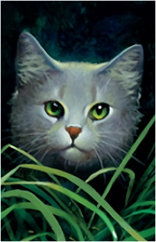 Dovewing | Mudae Wiki | Fandom