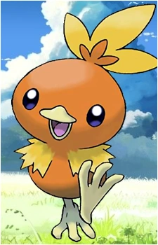 Torchic | Mudae Wiki | Fandom