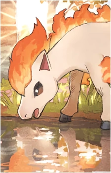 Ponyta Mudae Wiki Fandom