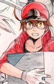 AA2153 | Mudae Wiki | Fandom