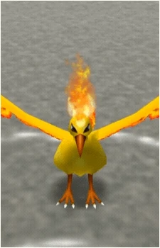 Moltres | Mudae Wiki | Fandom