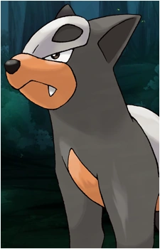Houndour | Mudae Wiki | Fandom
