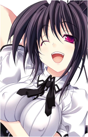 Akeno Himejima High School Dxd Wiki Fandom Powered By Wikia