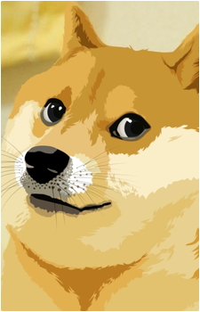 Doge | Mudae Wiki | Fandom