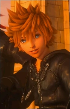 Roxas | Mudae Wiki | Fandom