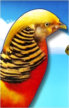 Tohri Nishikikouji | Mudae Wiki | Fandom