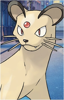 Meowth (Species) | Mudae Wiki | Fandom