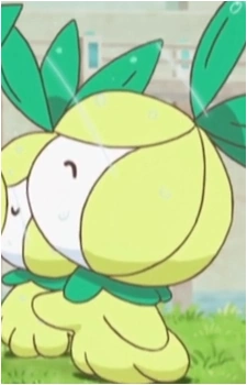 Petilil | Mudae Wiki | Fandom