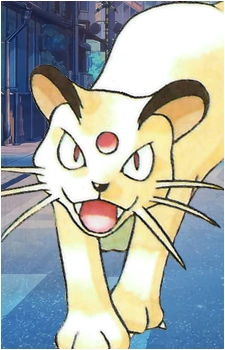 Meowth (Species) | Mudae Wiki | Fandom