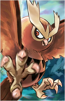 Hoothoot | Mudae Wiki | Fandom