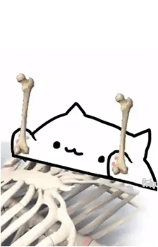Bongo Cat | Mudae Wiki | Fandom