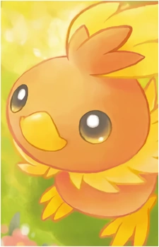 Torchic | Mudae Wiki | Fandom