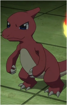 Charmander | Mudae Wiki | Fandom