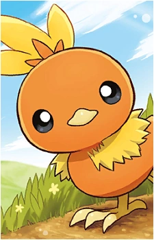 Torchic | Mudae Wiki | Fandom