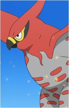 Ash's Talonflame | Mudae Wiki | Fandom