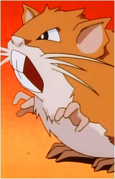 Rattata | Mudae Wiki | Fandom