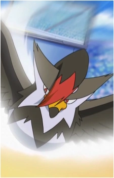 Ash's Staraptor | Mudae Wiki | Fandom