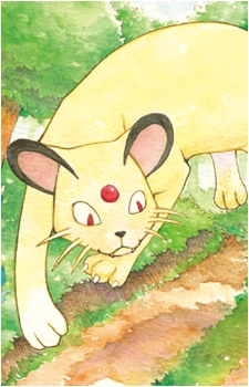 Meowth (Species) | Mudae Wiki | Fandom