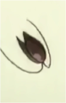 Gokicha | Mudae Wiki | Fandom