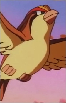 Pidgey | Mudae Wiki | Fandom