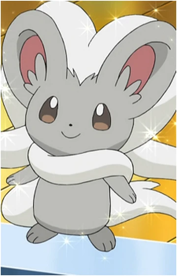 Minccino And Cinccino