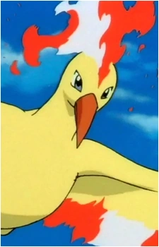 Moltres | Mudae Wiki | Fandom