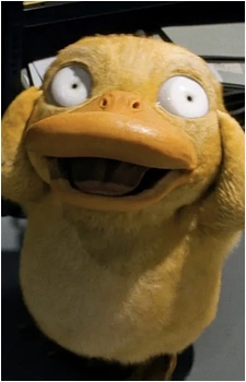 Psyduck | Mudae Wiki | Fandom