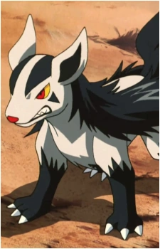 Poochyena | Mudae Wiki | Fandom