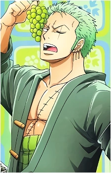 Roronoa Zoro | Mudae Wiki | Fandom