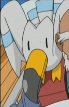 Wingull | Mudae Wiki | Fandom