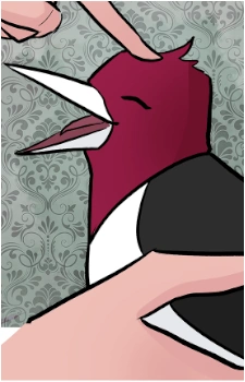 Toben | Mudae Wiki | Fandom