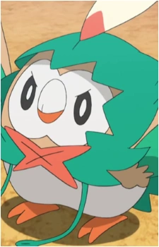 Ash's Rowlet | Mudae Wiki | Fandom