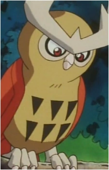 Hoothoot | Mudae Wiki | Fandom