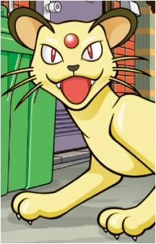 Meowth (Species) | Mudae Wiki | Fandom