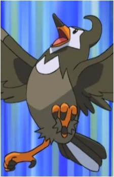 Ash's Staraptor | Mudae Wiki | Fandom