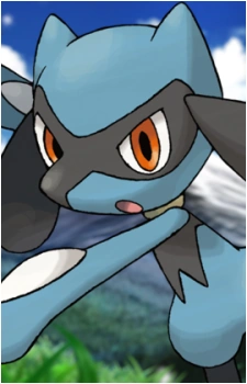 Riolu | Mudae Wiki | Fandom