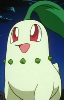 Ash's Bayleef | Mudae Wiki | Fandom
