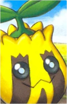 Sunkern | Mudae Wiki | Fandom