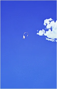 Mew | Mudae Wiki | Fandom