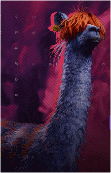 Kammy | Mudae Wiki | Fandom