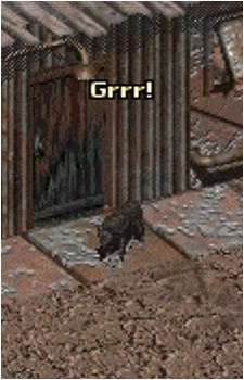 Dogmeat (FO1) | Mudae Wiki | Fandom