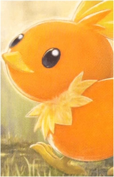 Torchic | Mudae Wiki | Fandom