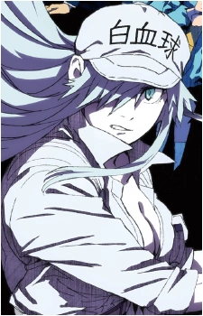 U-1196 | Mudae Wiki | Fandom