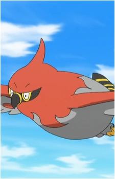 Ash's Talonflame | Mudae Wiki | Fandom
