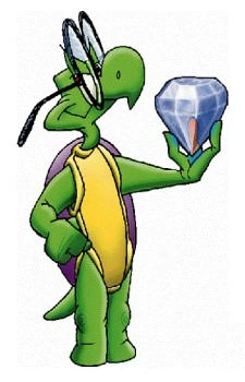 Devan Shell | Mudae Wiki | Fandom