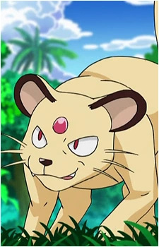 Meowth (Species) | Mudae Wiki | Fandom
