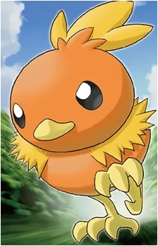 Torchic | Mudae Wiki | Fandom