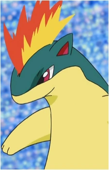Ash's Cyndaquil | Mudae Wiki | Fandom